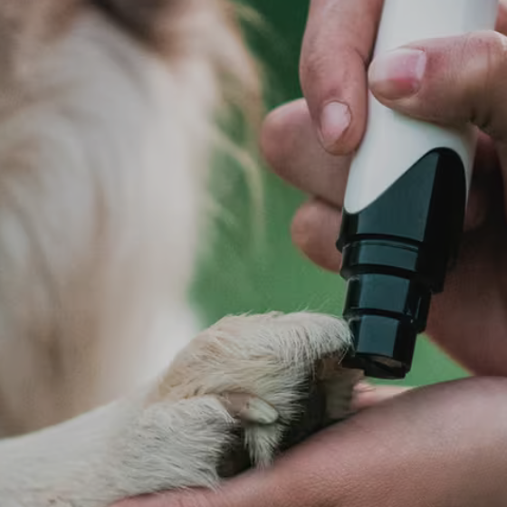 Woof Bark & Co™ Silent Paw Pro Nail Grinder – Woof Bark and Co.